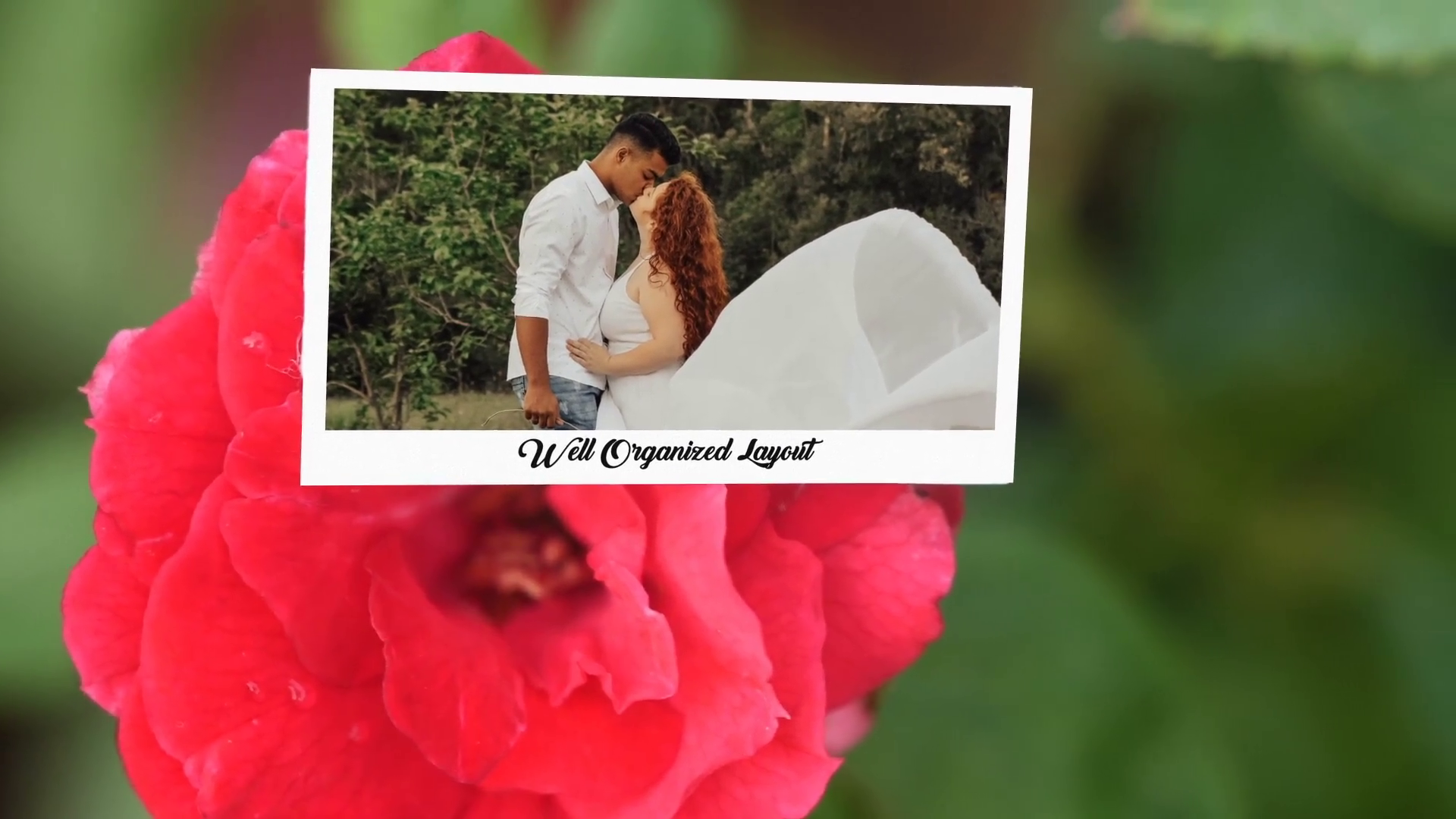 Premiere Pro Template: Beautiful Rose Slideshow SBV-346681984 - Storyblocks