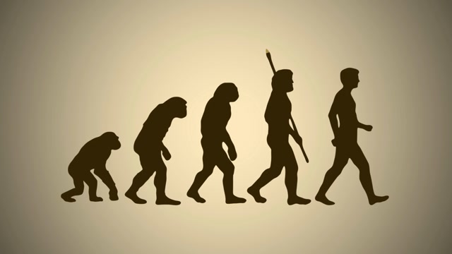 Download 364 Evolution Of Human Motion Backgrounds - Storyblocks