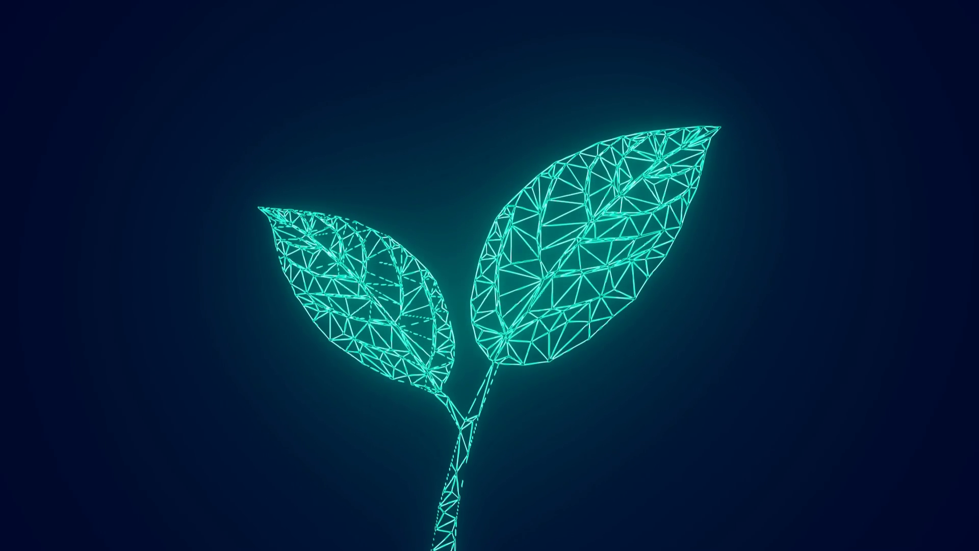 Save Earth Plant More Trees Green Leaves Stock Motion Graphics SBV ...