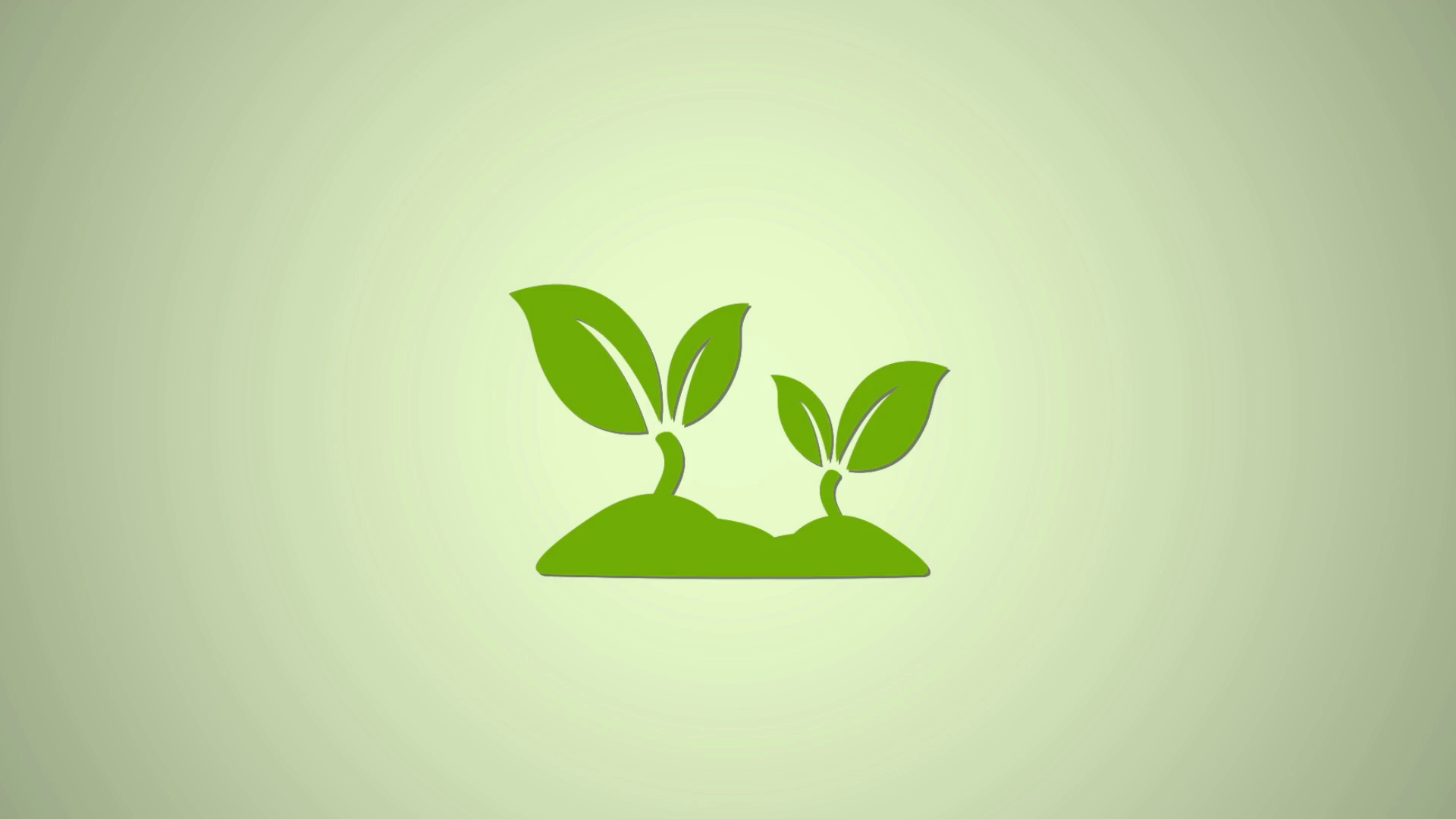 Green Plants Ecology Environment Animation Stock Motion Graphics SBV ...