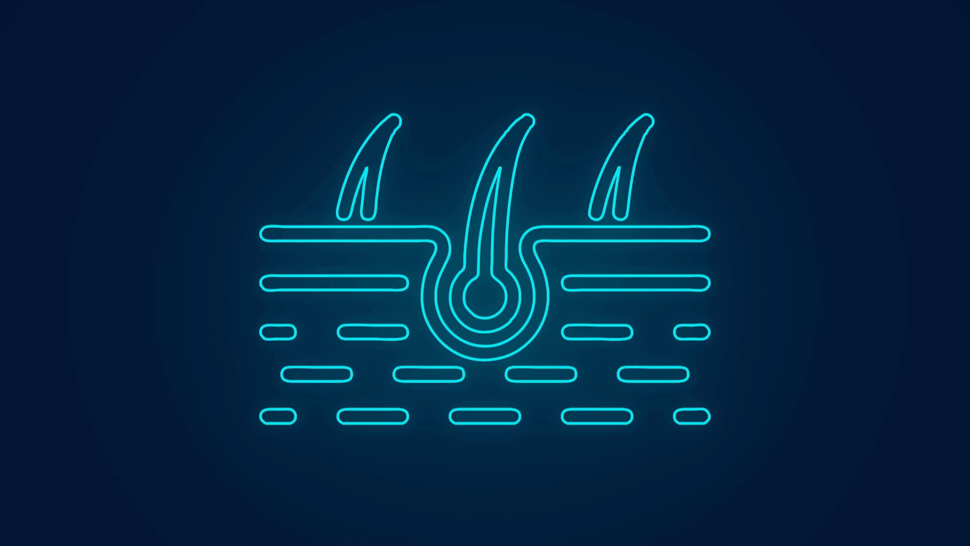 Hairs In Head Scalp Skin Trichology Animation Stock Motion Graphics SBV ...