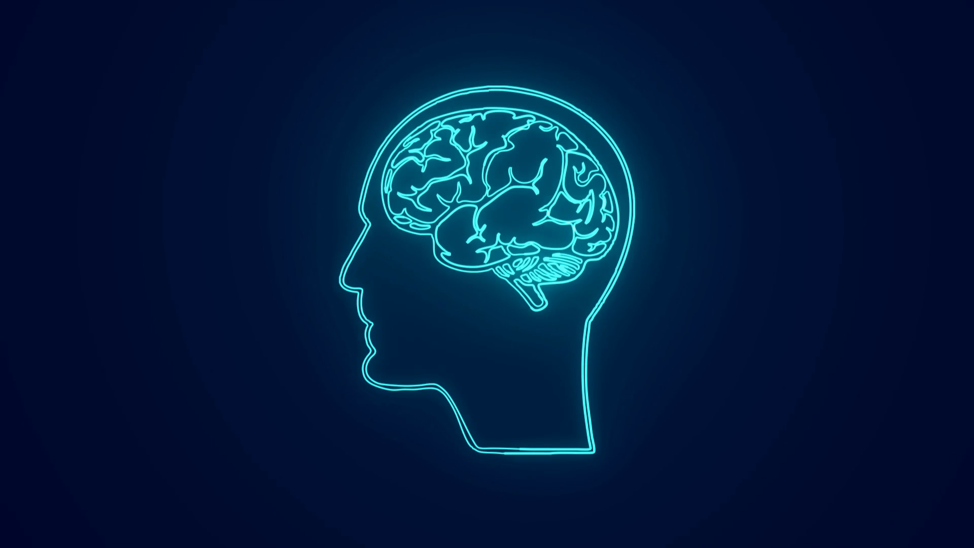 Human Brain Intelligence Body Anatomy Stock Motion Graphics SBV ...