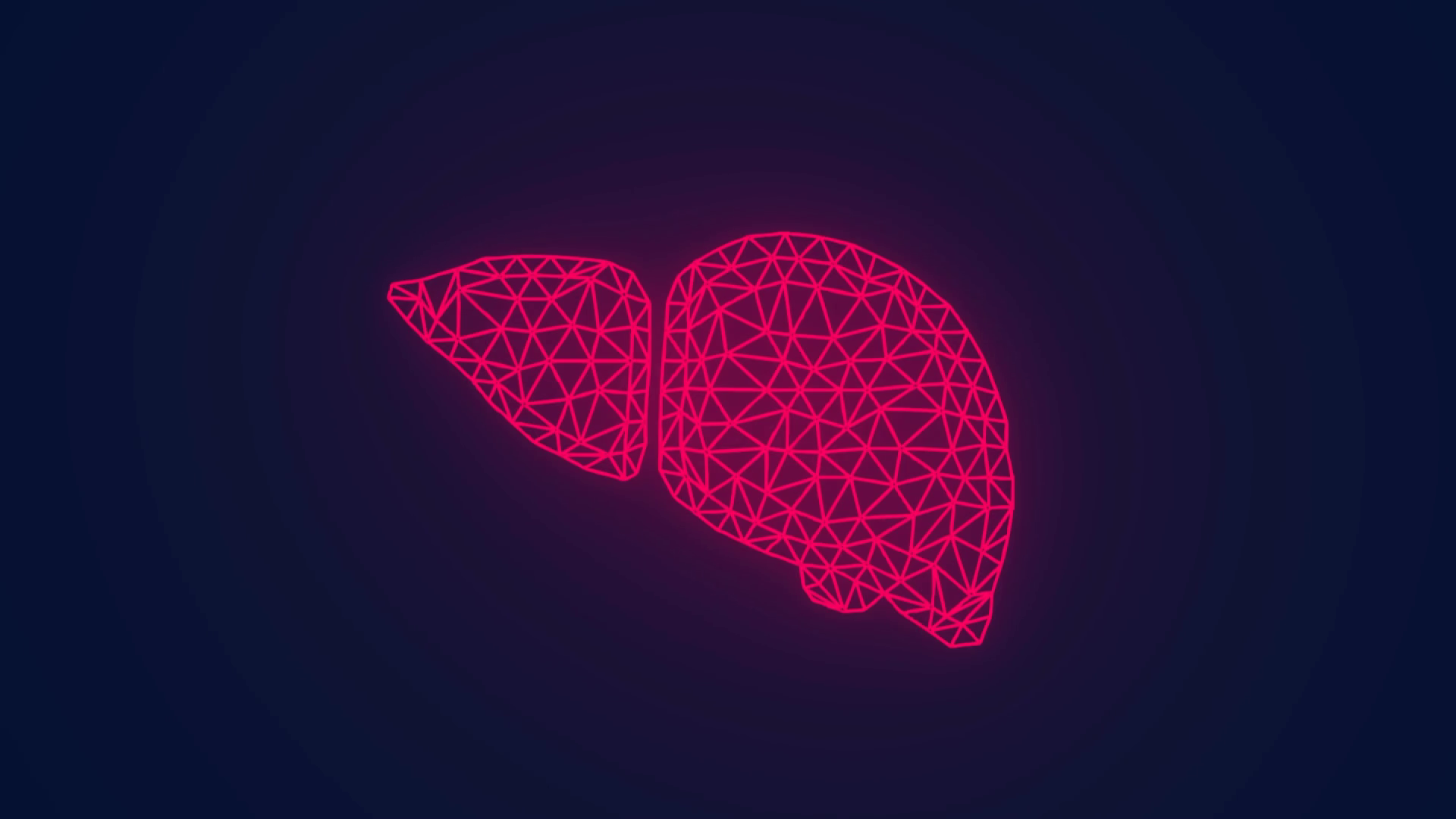 Liver Human Body Internal Organ Anatomy Stock Motion Graphics SBV ...