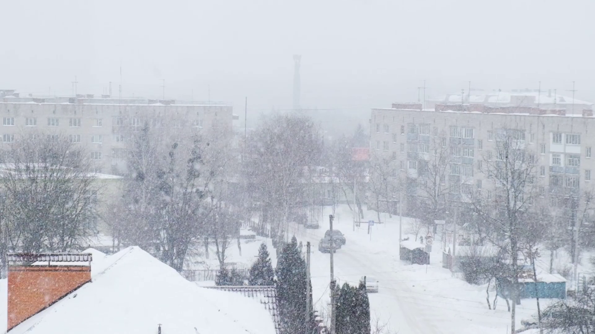 Slow Motion Of Snow Falling Snow-covered Stock Footage SBV-348612179 ...
