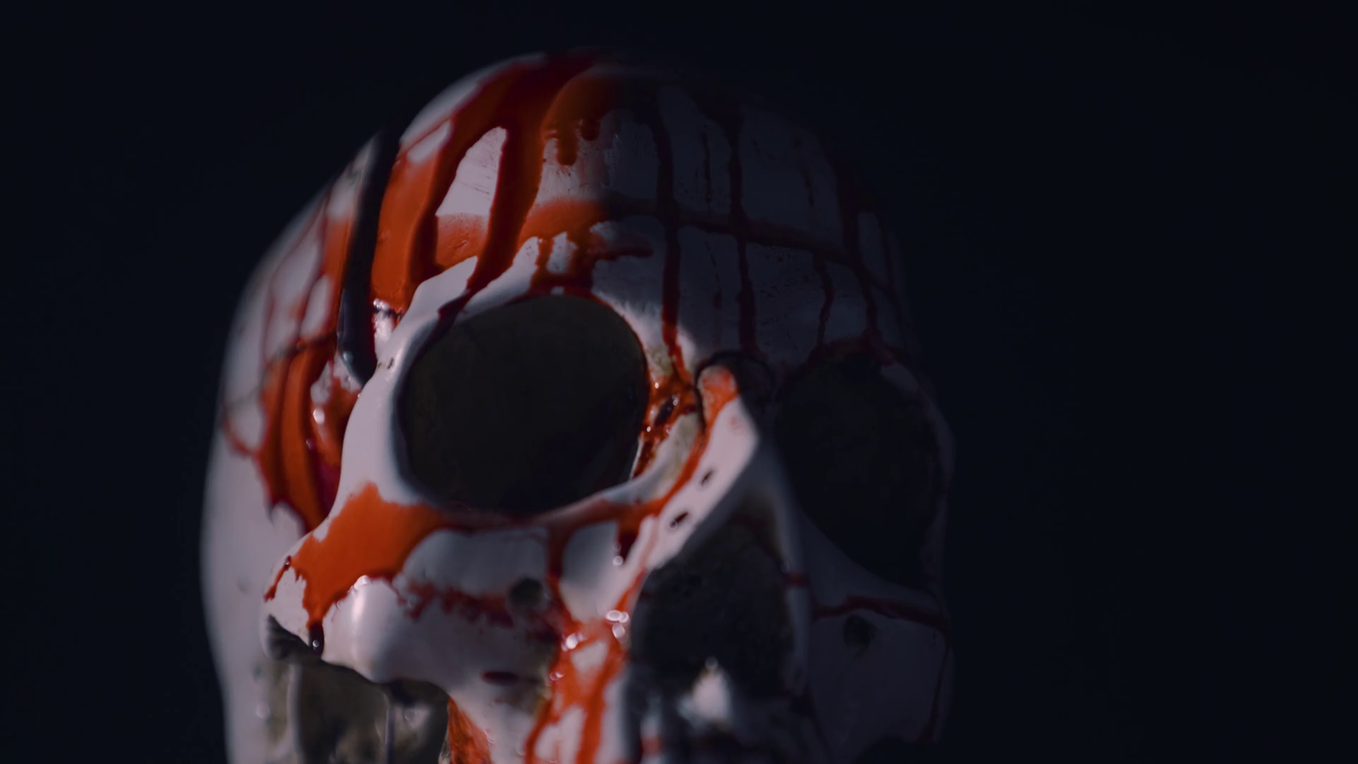 Bloody Skull In Dark Close Up Stock Footage SBV-351997685 - Storyblocks