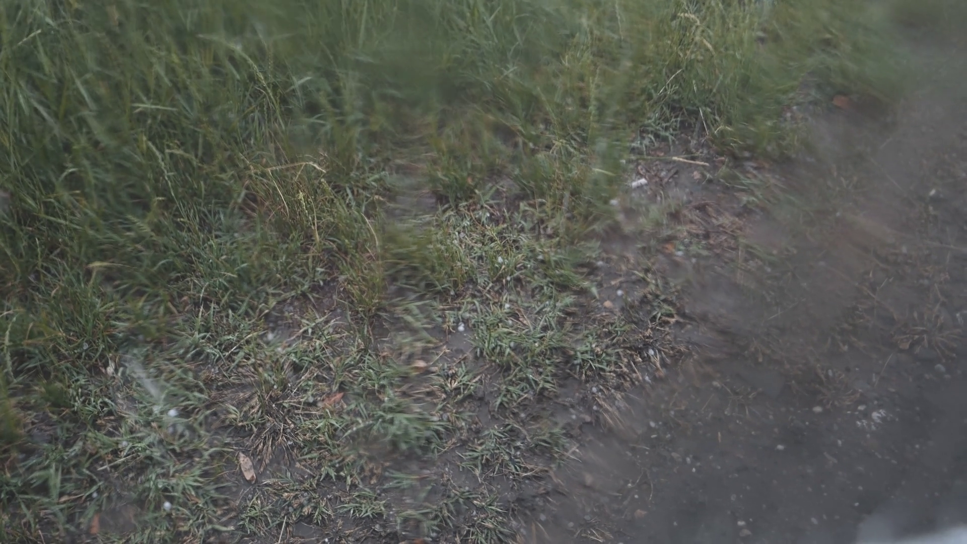 Close Up Rain Drops On Mud Puddle With Stock Footage SBV-352045539 ...