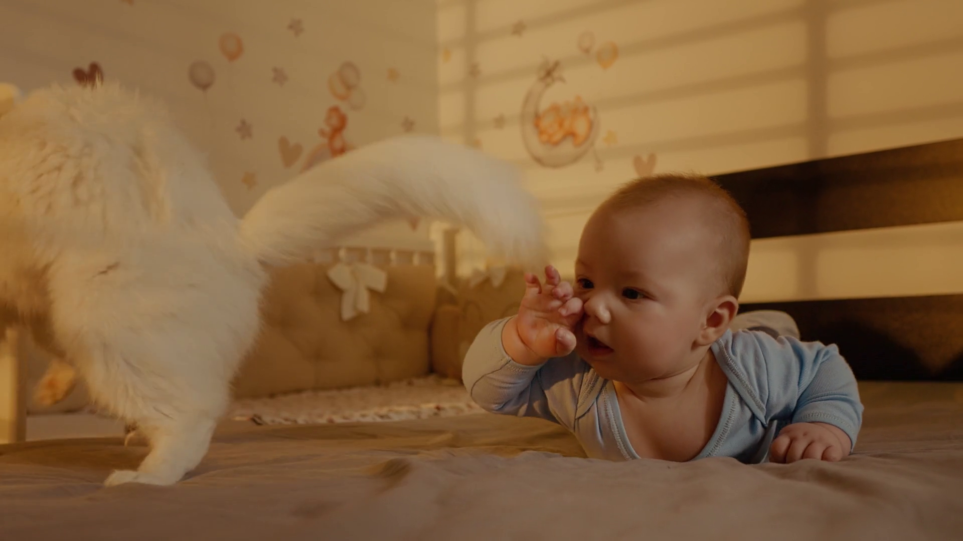 Kid Cat Peaceful Coexistence In Family Stock Footage SBV-352047280 ...