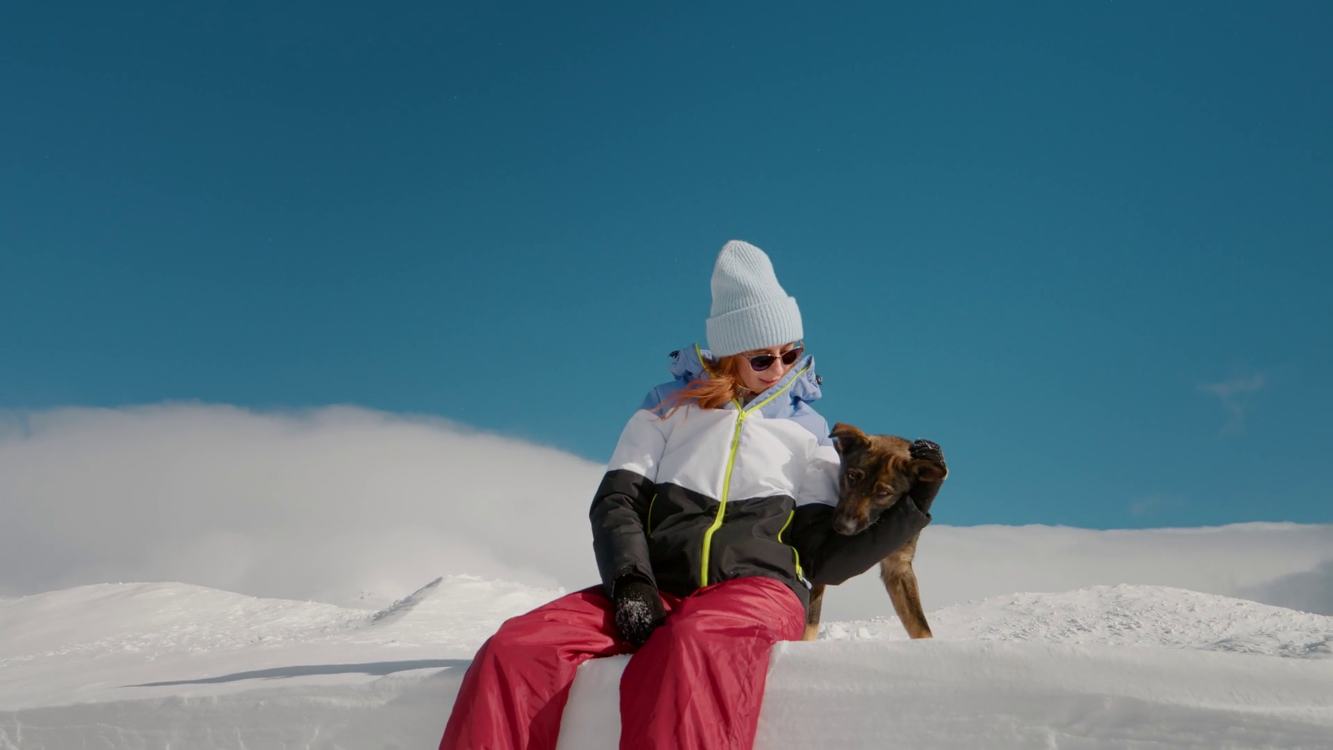 Zoom Out Caucasian Female With Dog On Huge Stock Footage SBV-352051392 ...