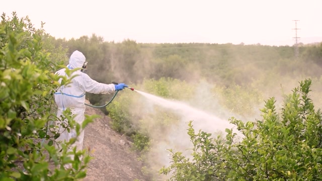Spraying Perfume Stock Footage: Royalty-Free Video Clips - Storyblocks