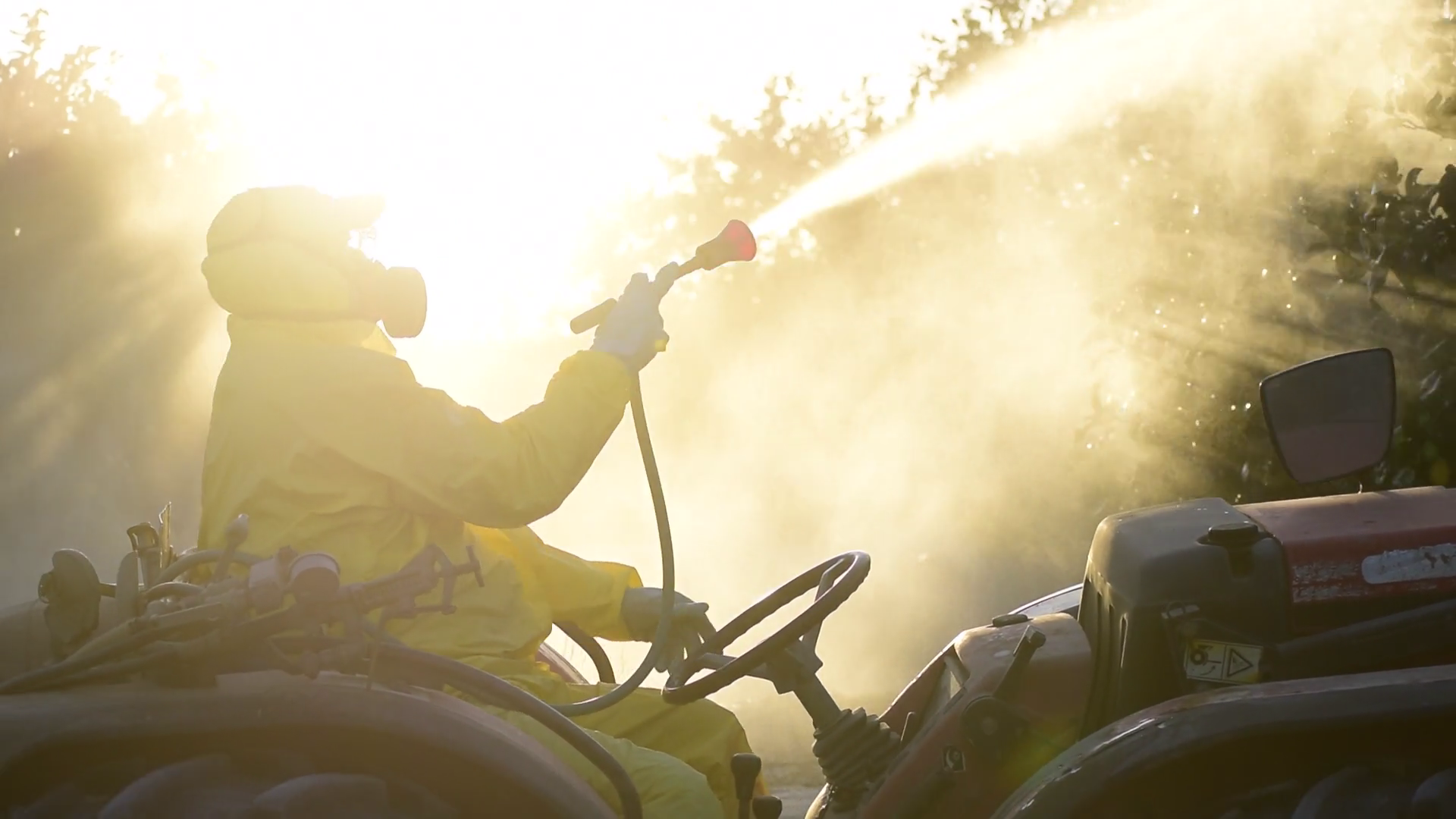 Spray Ecological Pesticide Farmer Fumigate Stock Footage SBV-351730830 ...