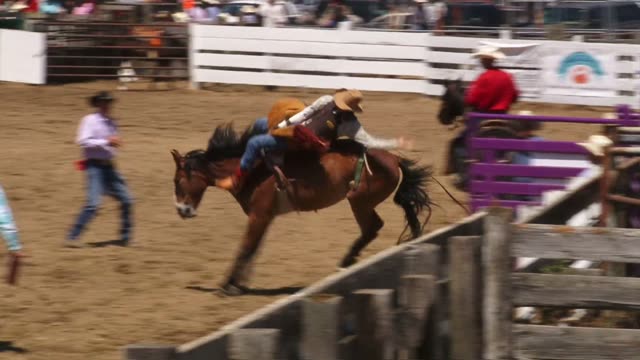 Extreme Bronc Rider Stock Footage: Royalty-Free Video Clips - Storyblocks