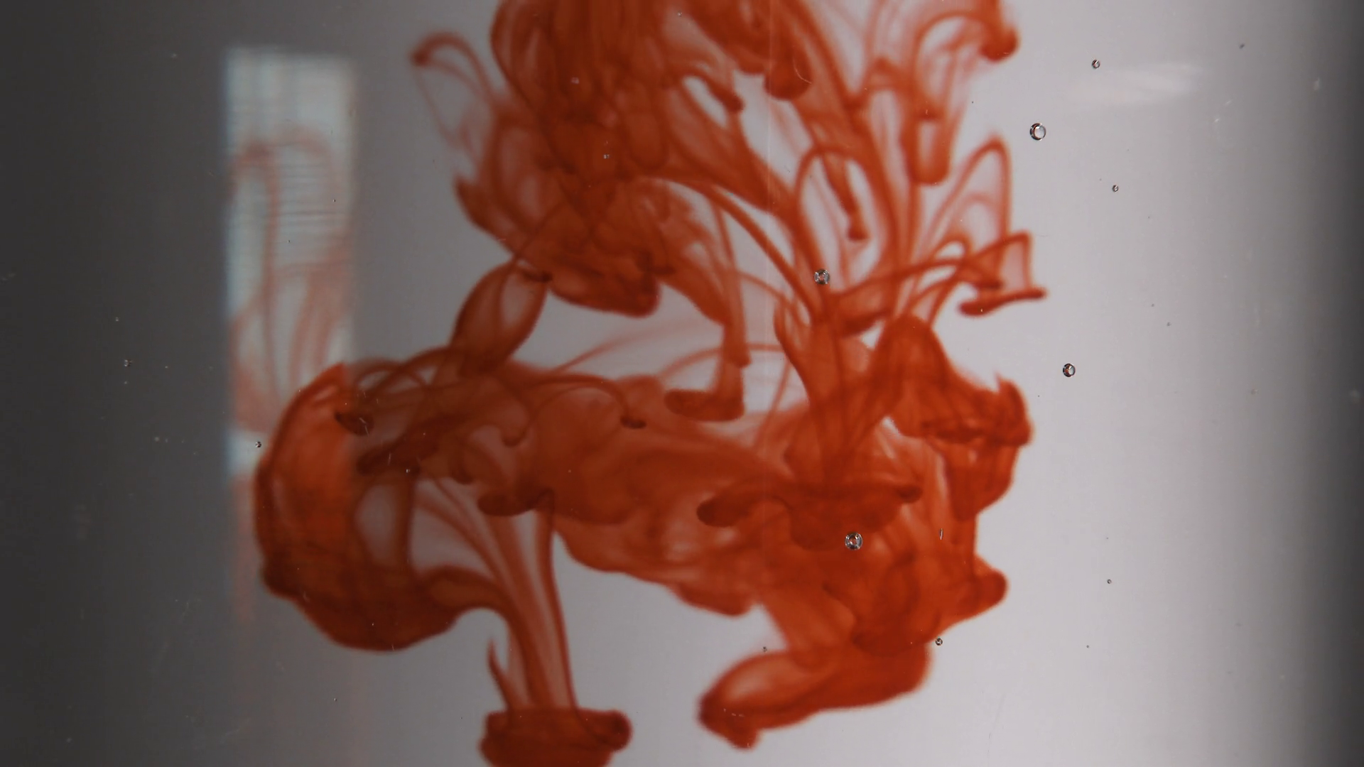 Blood Falling Through Clear Liquid Close Up Stock Video Footage ...