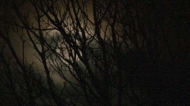 Scary Night Stock Footage: Royalty-Free Video Clips - Storyblocks