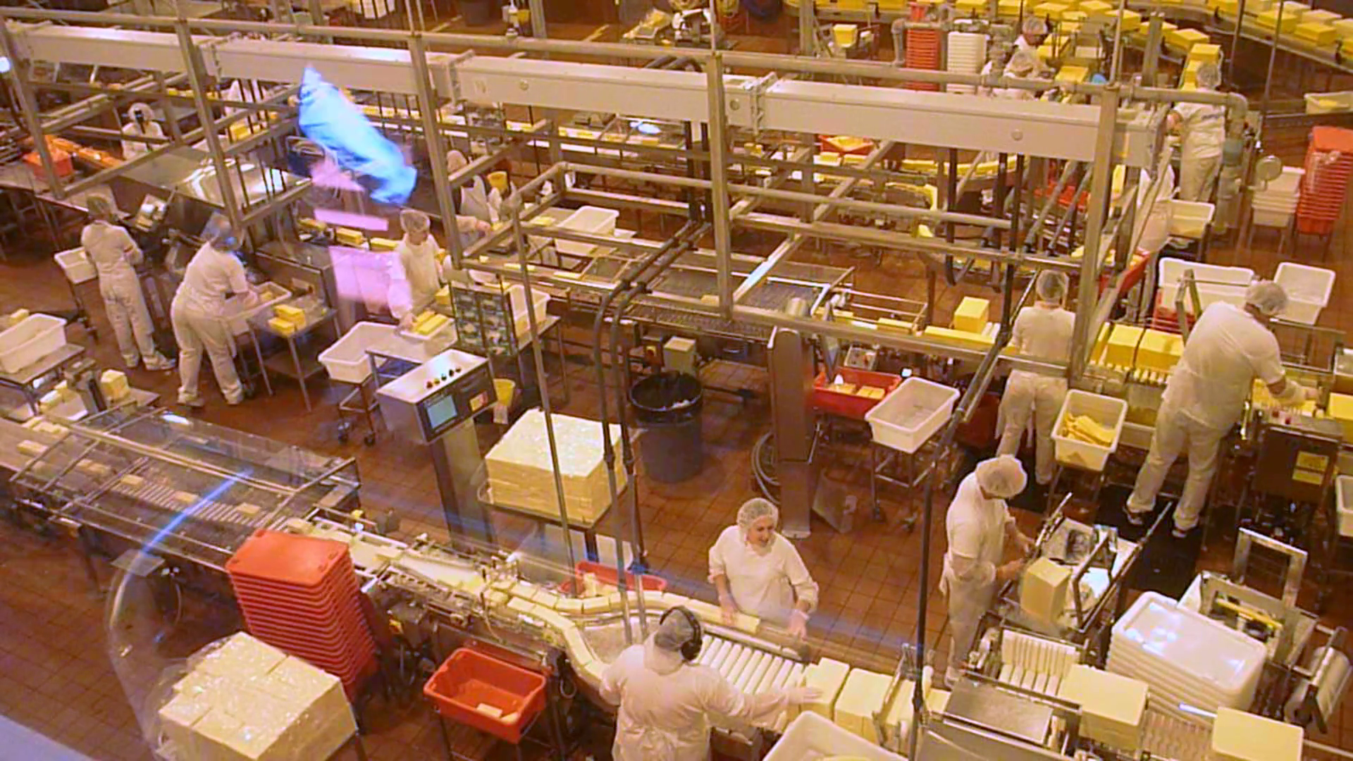 Factory Workers Operating Cheese Factory Stock Video Footage - Storyblocks