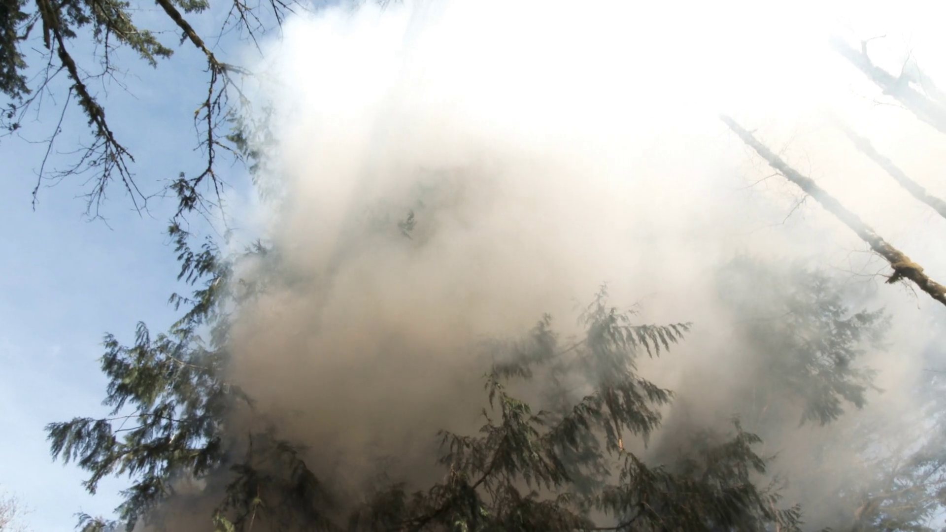 Fire Burning Brings Thick Smoke To Forest Stock Footage SBV-333200602 ...