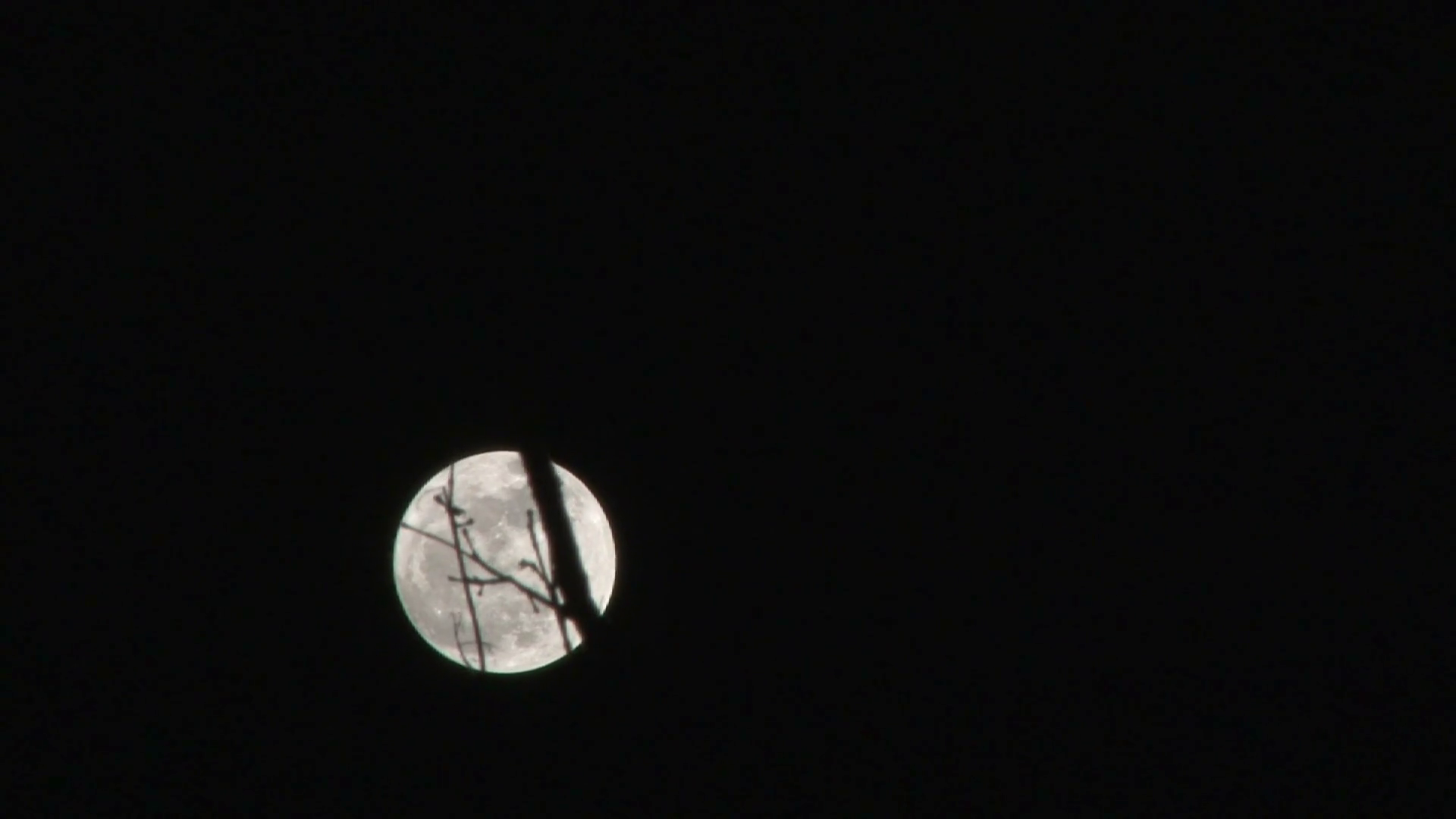 Full Moon Time Lapse With Tree Stock Video Footage 00:20 SBV-327216341 ...