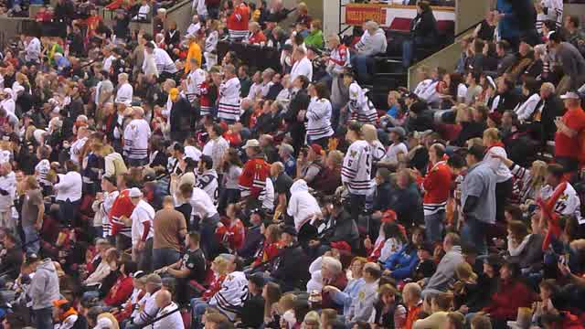 Sports Fan Stock Footage: Royalty-Free Video Clips - Storyblocks