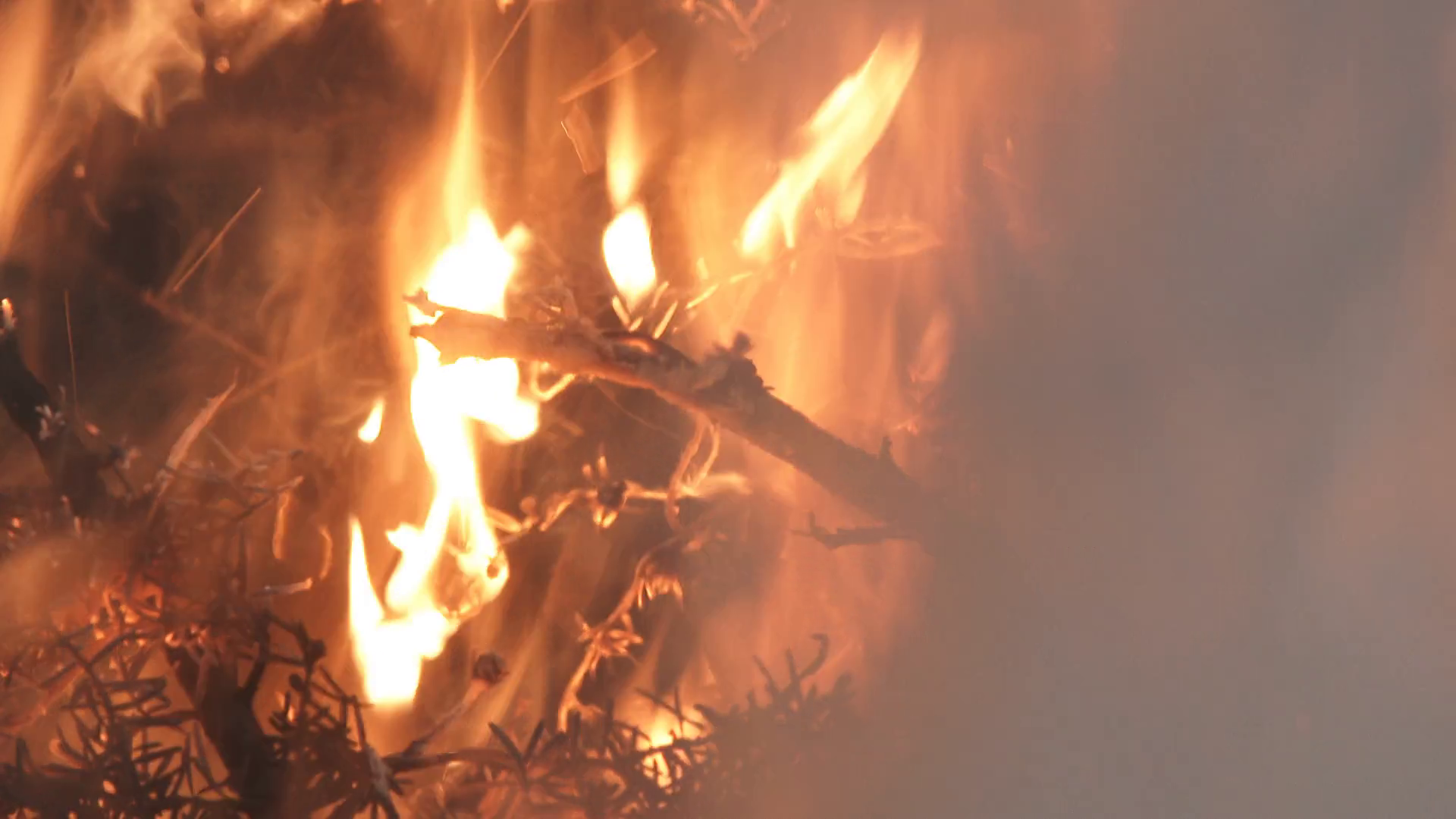 Large Burning Fire Close Up Stock Footage SBV-327876454 - Storyblocks