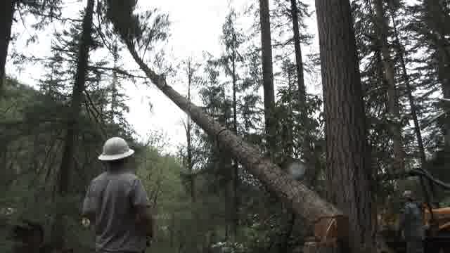 Avoiding Work Stock Footage: Royalty-Free Video Clips - Storyblocks