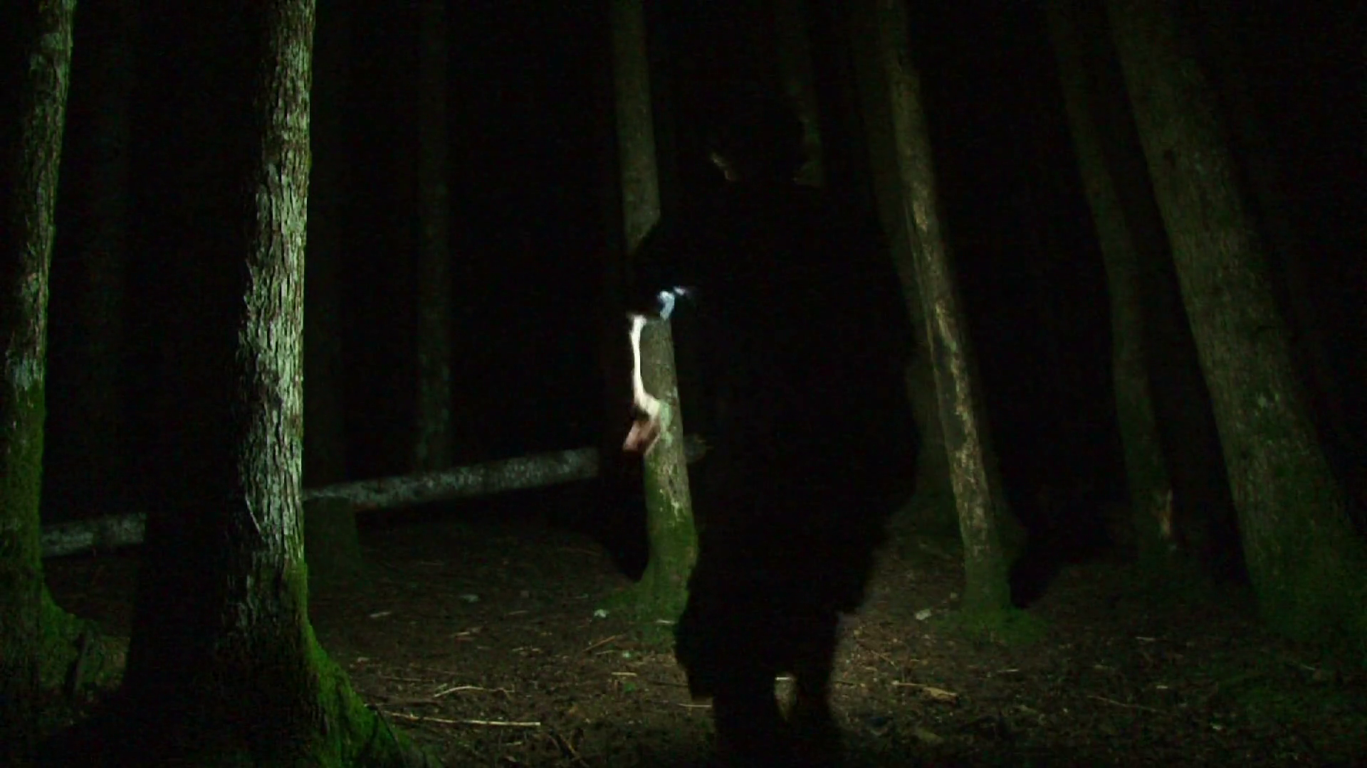 Man Running Through Dark Forest Stock Video Footage - Storyblocks