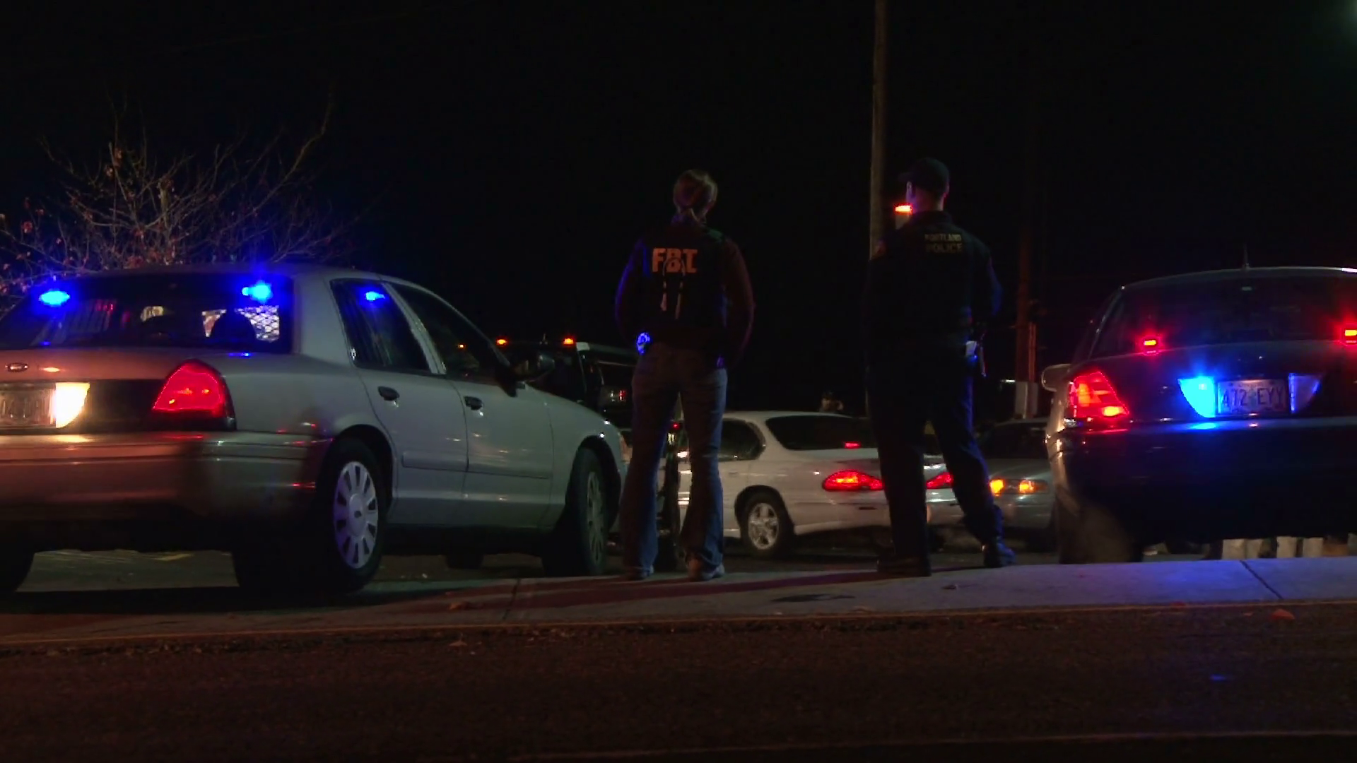 Night Investigation Police Officers And Flashing Lights Stock Video ...