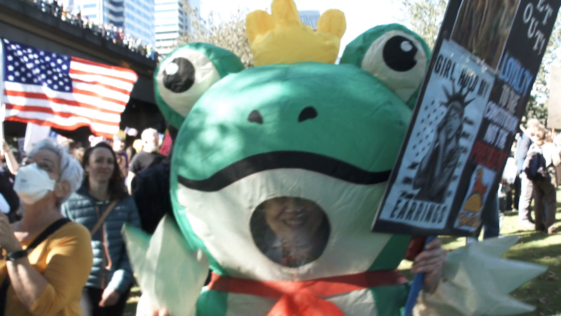 Peaceful Frog Unicorn Protesters At Kings Stock Footage SBV-352992726 ...
