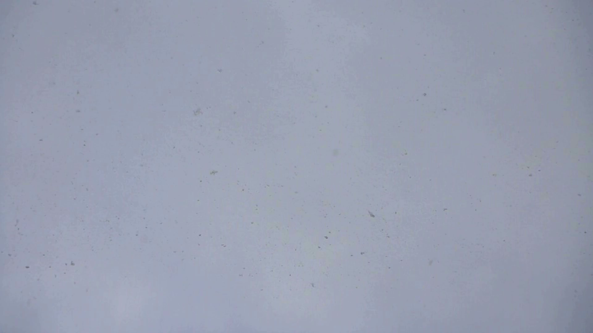 Snow Falling In Cloudy Winter Sky Stock Footage SBV-327243255 - Storyblocks