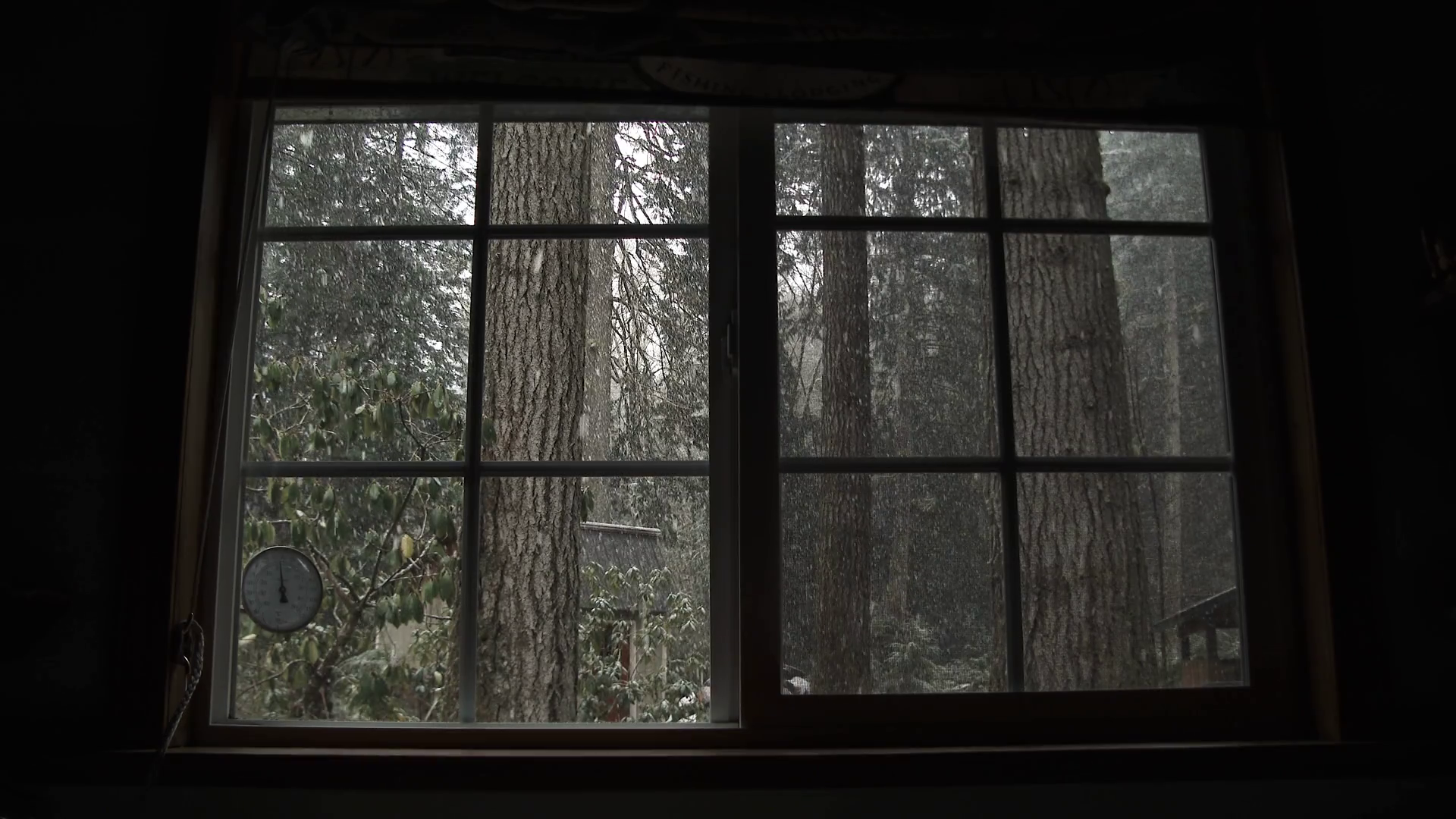 Snow Falling In Forest Through Cabin Windows Stock Footage SBV ...