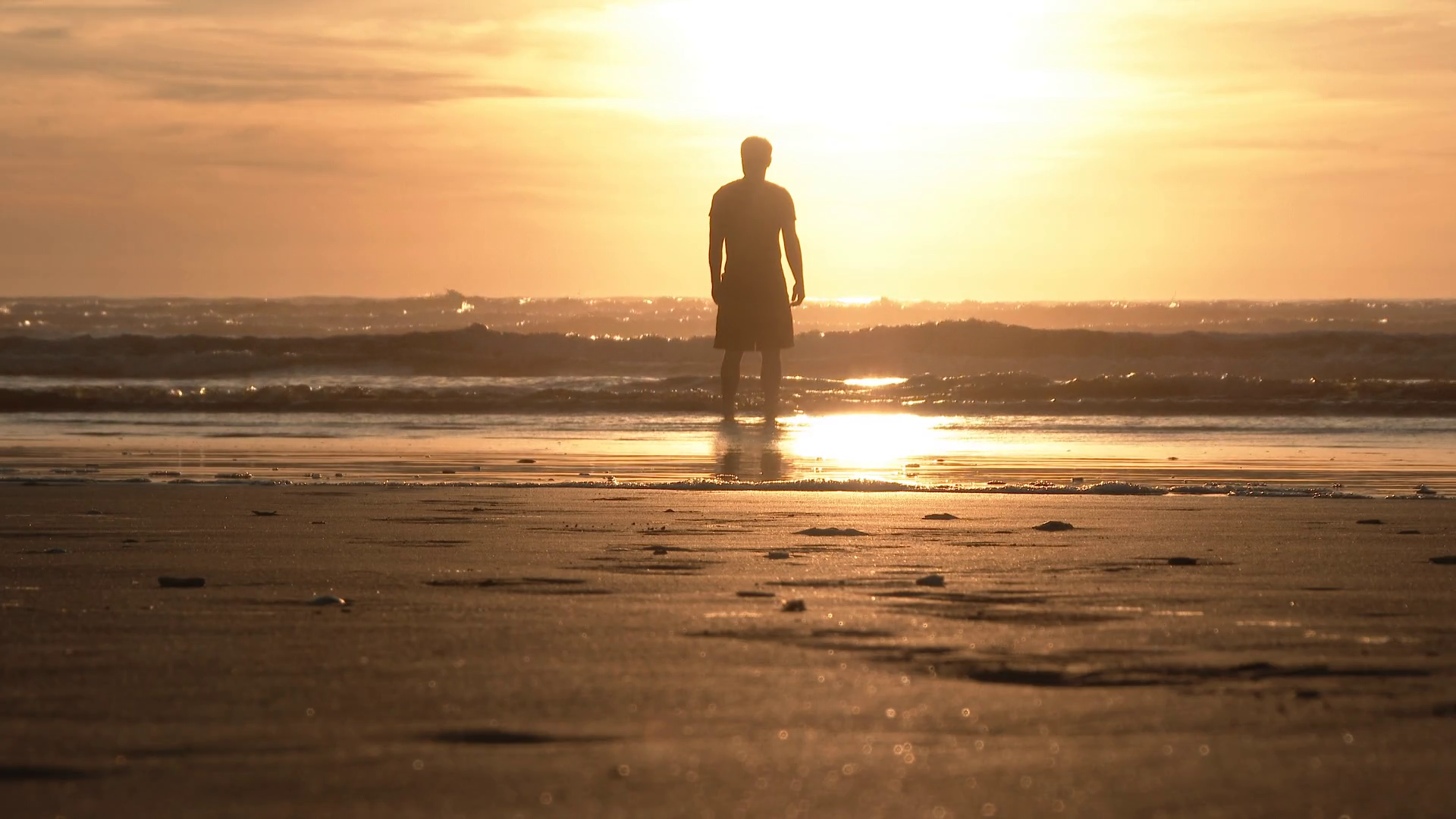Sun Centered Man At Beach Stock Footage SBV-327373751 - Storyblocks