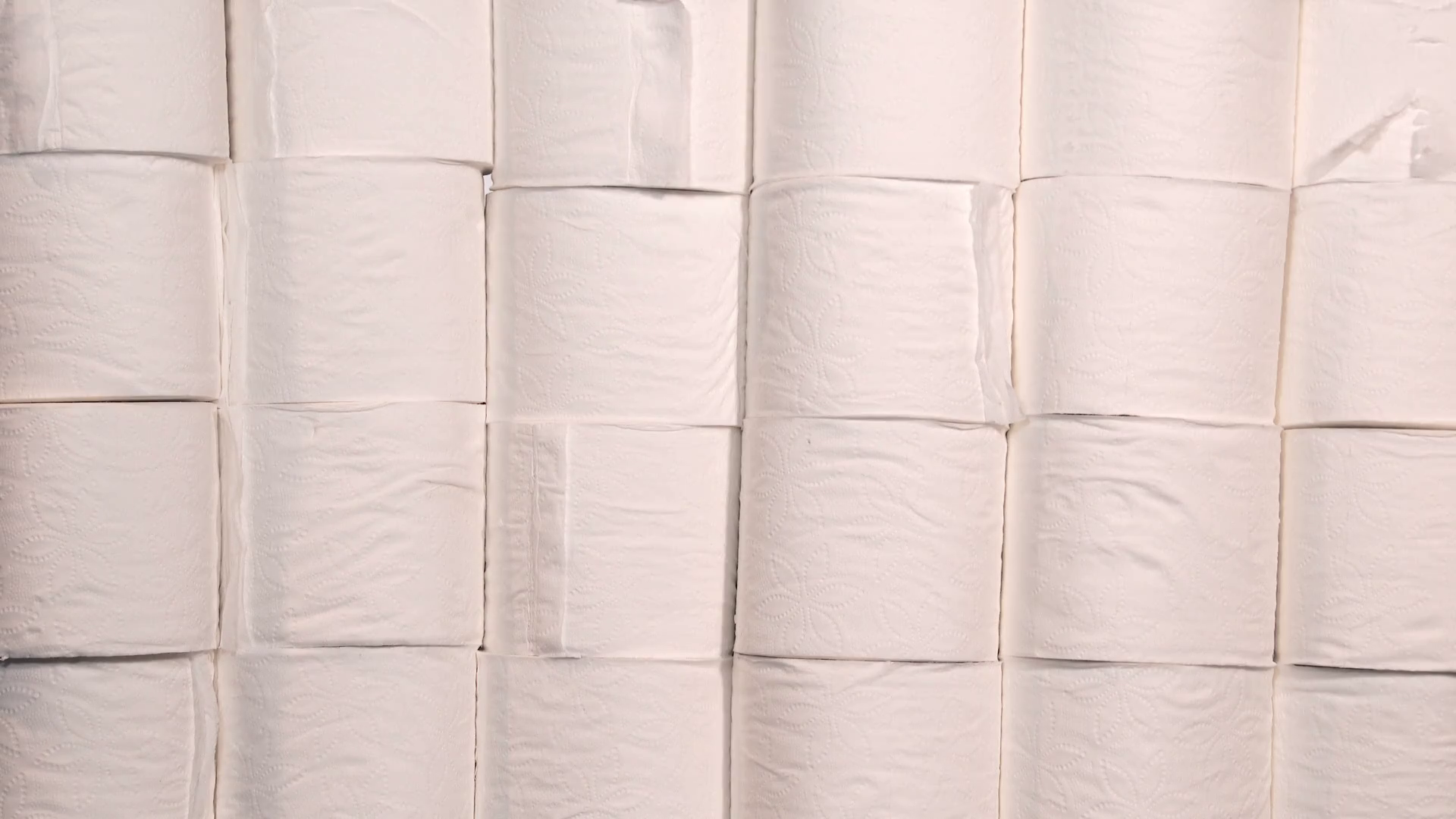 The Toilet Paper Bandit Strikes Again Stock Footage SBV-338250435 ...