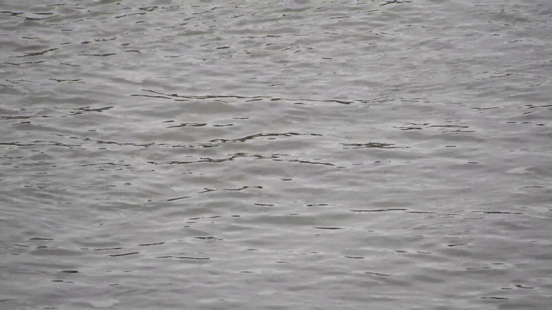 The Grayish Water Flows In River During Stock Footage SBV-347744473 ...