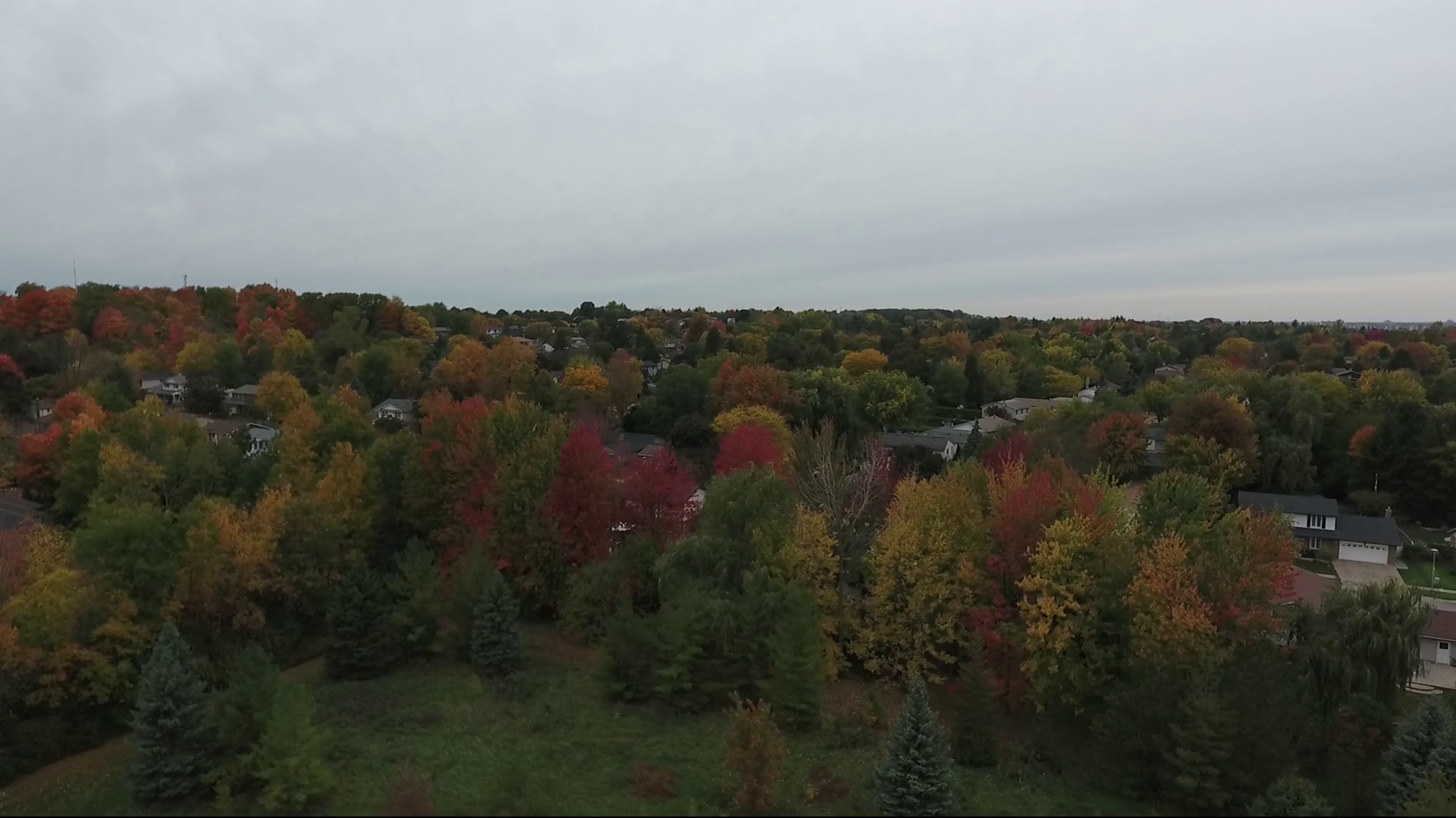Ascending Above Forest To Reveal Houses Stock Footage SBV-347398058 ...