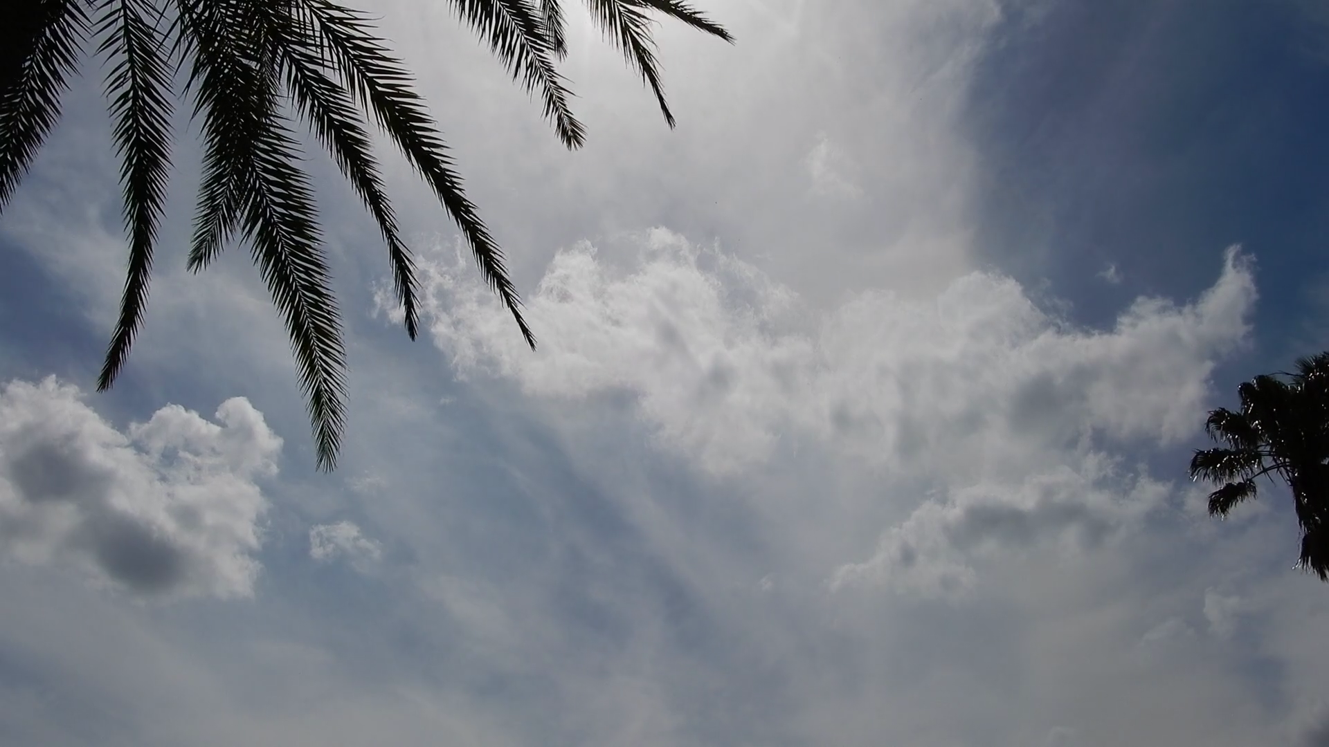 A Tropical Vacation Setting Is Captured With Stock Footage SBV ...