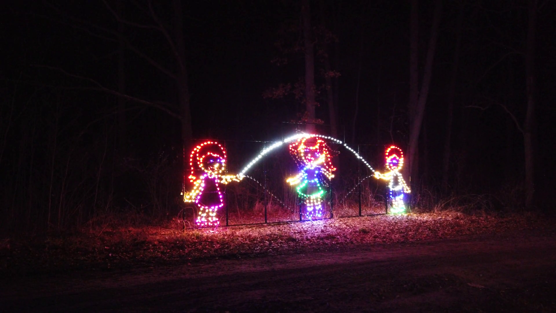 Children Jumping Skip Rope Christmas Stock Footage SBV-348414057 ...