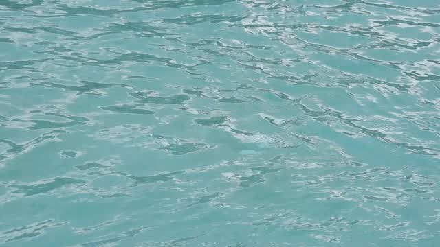 Time Lapse Swimming Pool Stock Footage: Royalty-Free Video Clips ...
