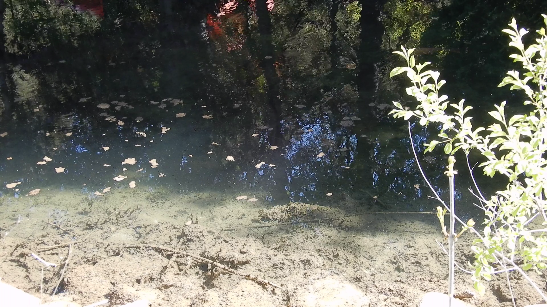 Debris Is Seen Floating Downwind In Stream Stock Footage SBV-347752455 ...