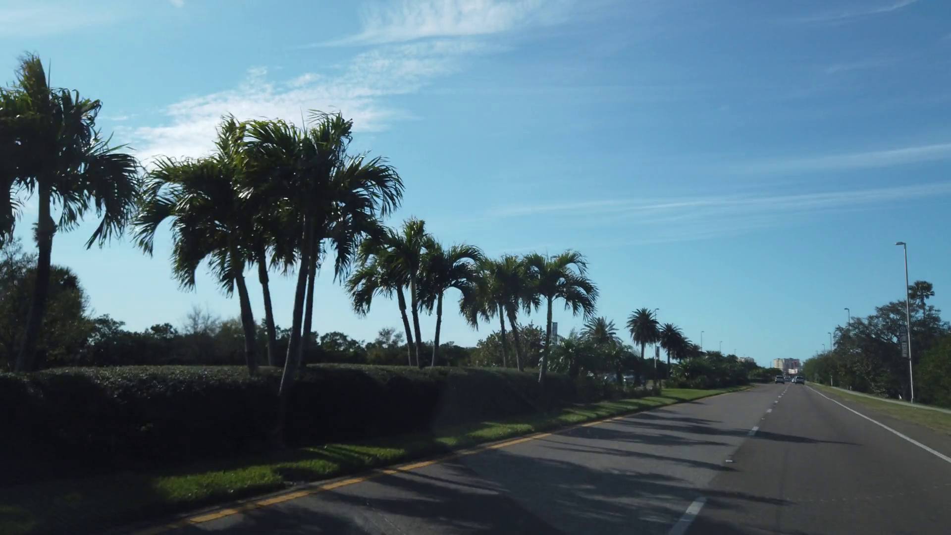 Driving Down Road Past Palm Trees Near Ocean Stock Footage SBV ...