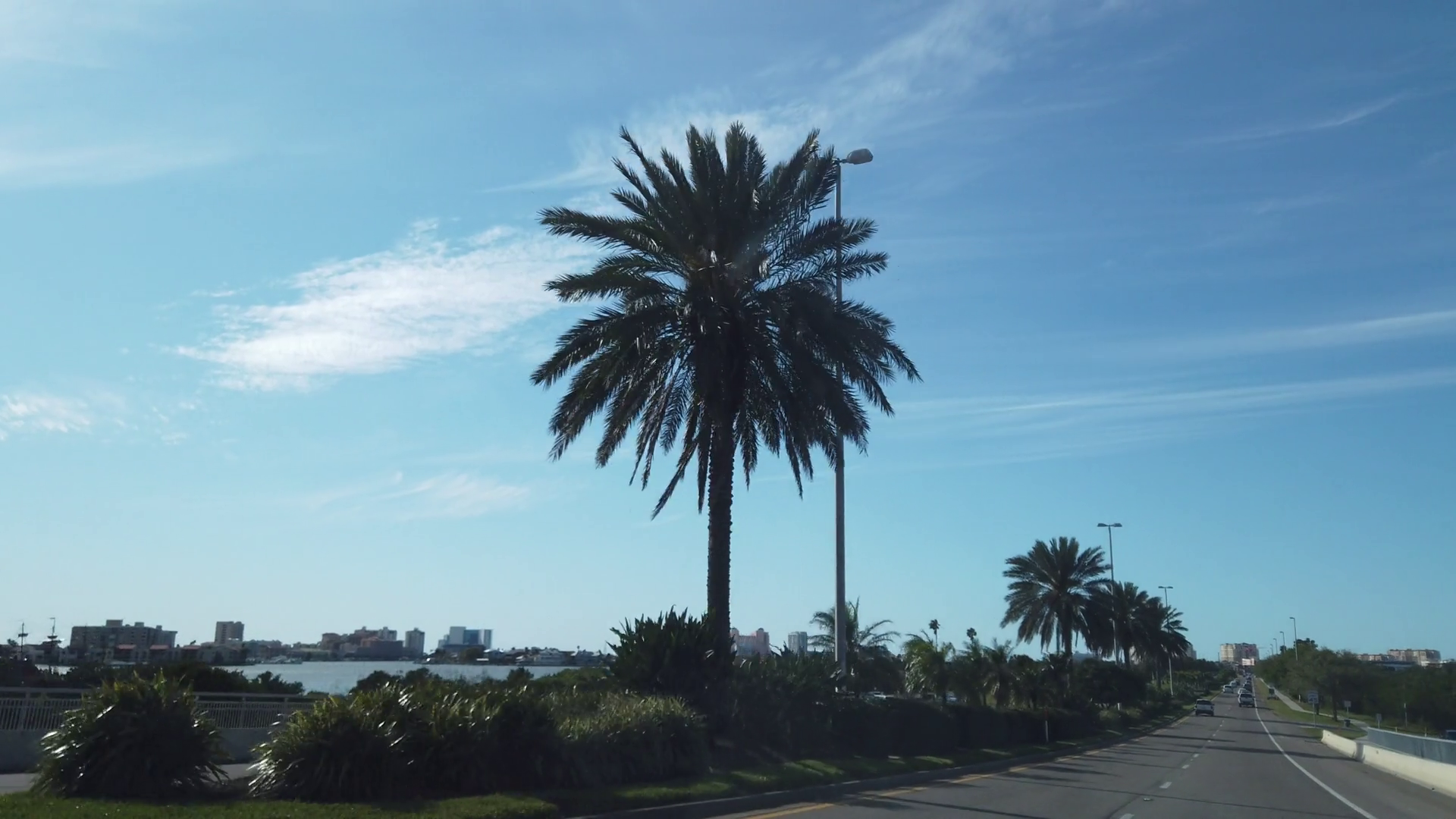 Driving Down Road Past Palm Trees Near Ocean Stock Footage SBV ...