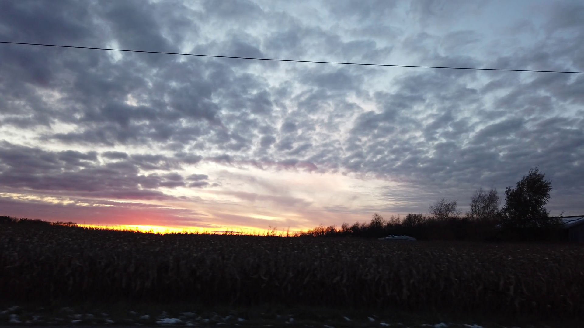Driving Past Homestead With Wheat Farms At Stock Footage SBV-347728029 ...