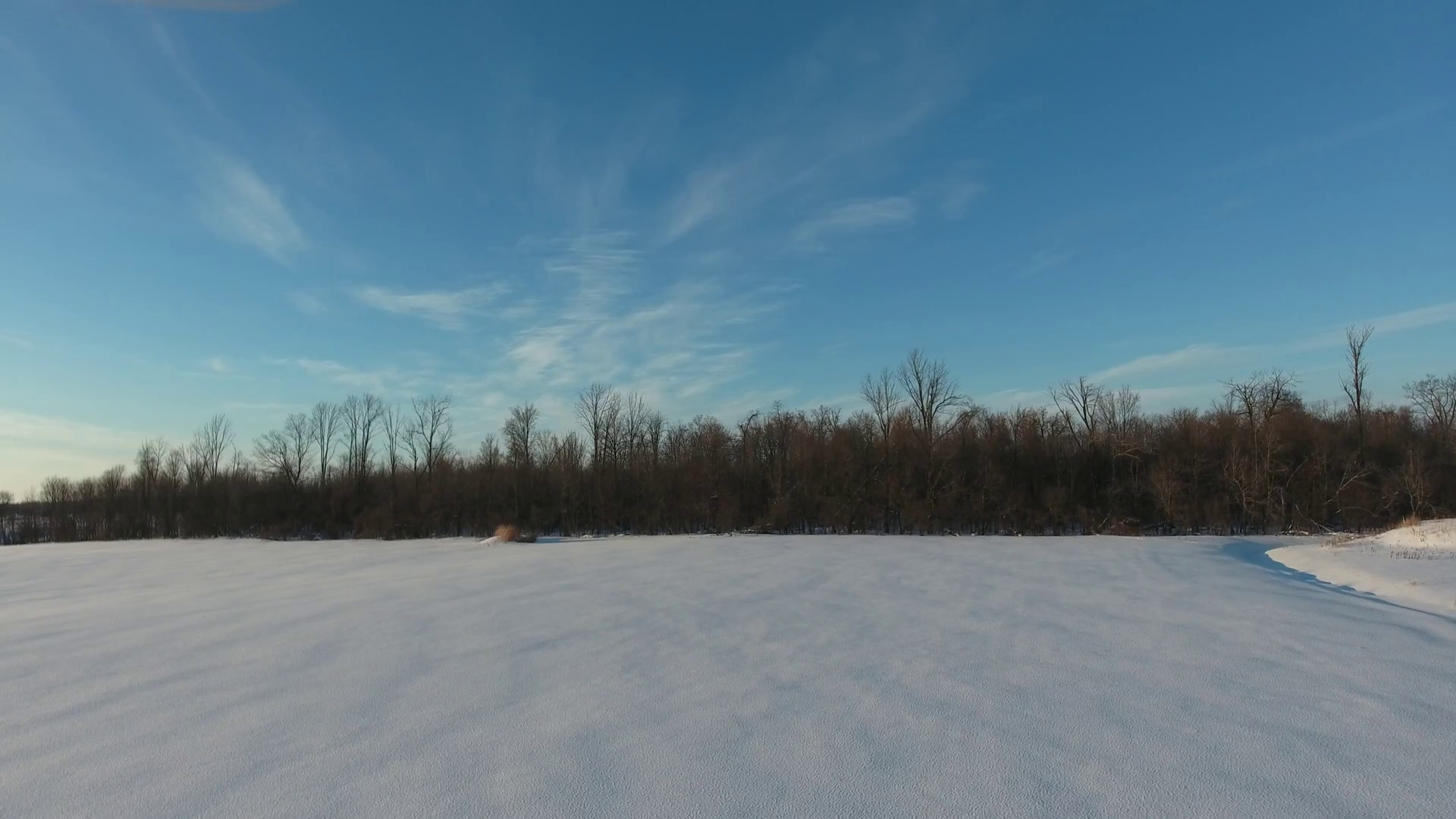Flying Over Snow Towards Forest In Winter Stock Footage SBV-347400833 ...