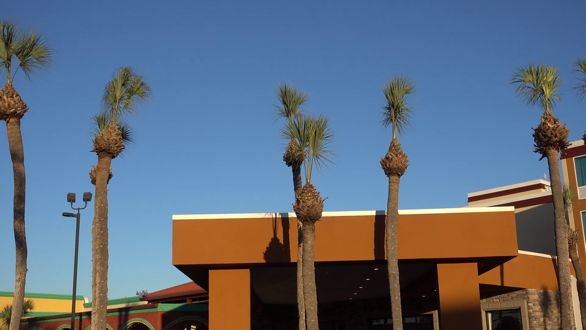 Palm Trees In Front Of Mexican Mexico Stock Footage SBV-347771189 ...
