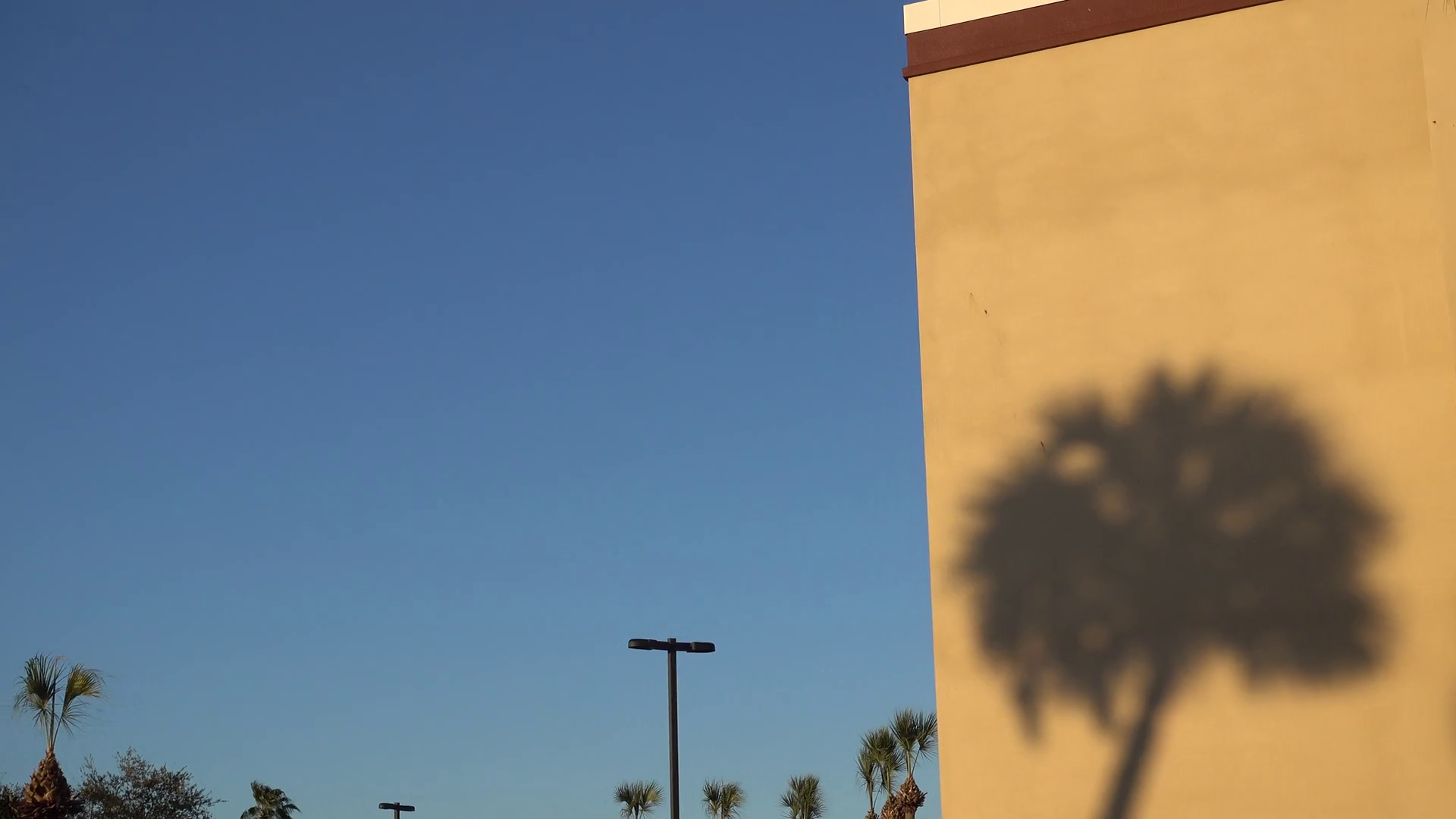 Tree Shadows Against Building Along With Stock Footage SBV-347715548 ...