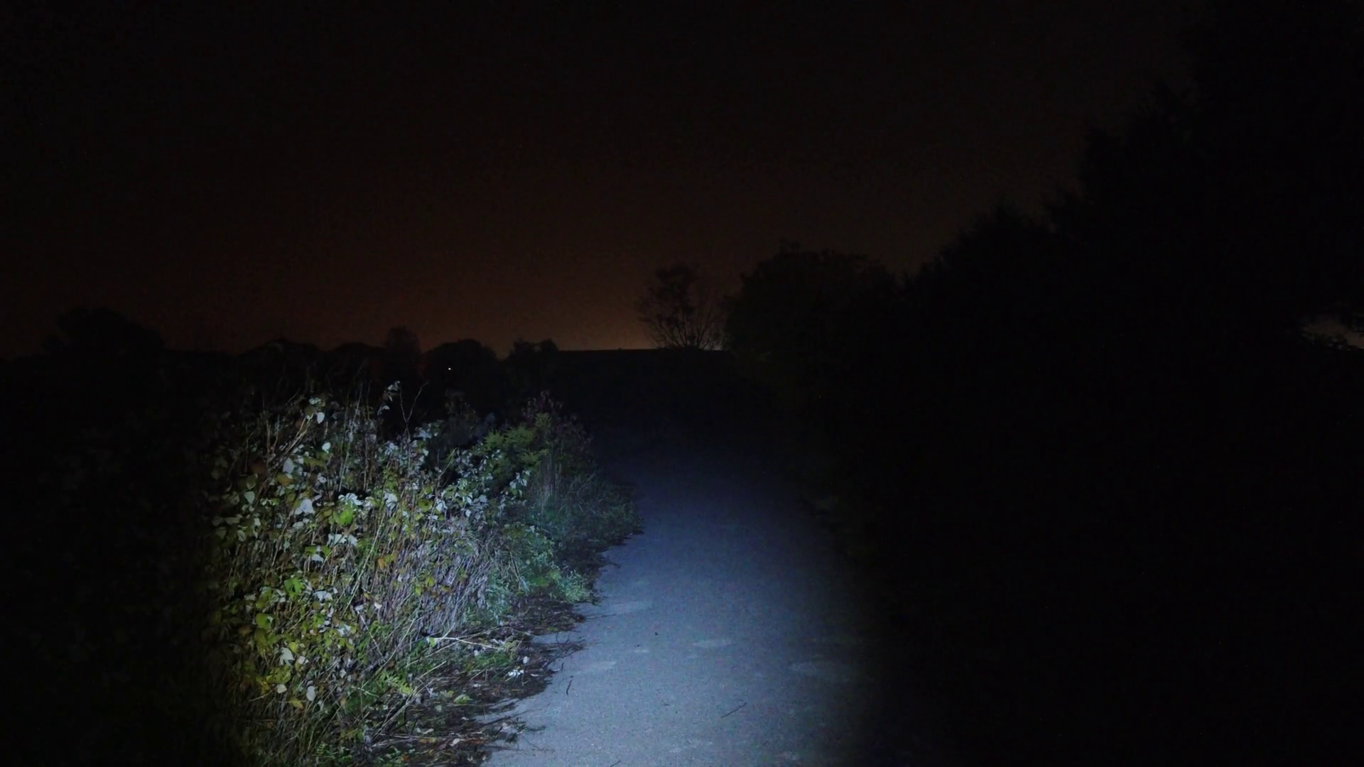 At Night Police Conduct Search Rescue Stock Footage SBV-347658498 ...