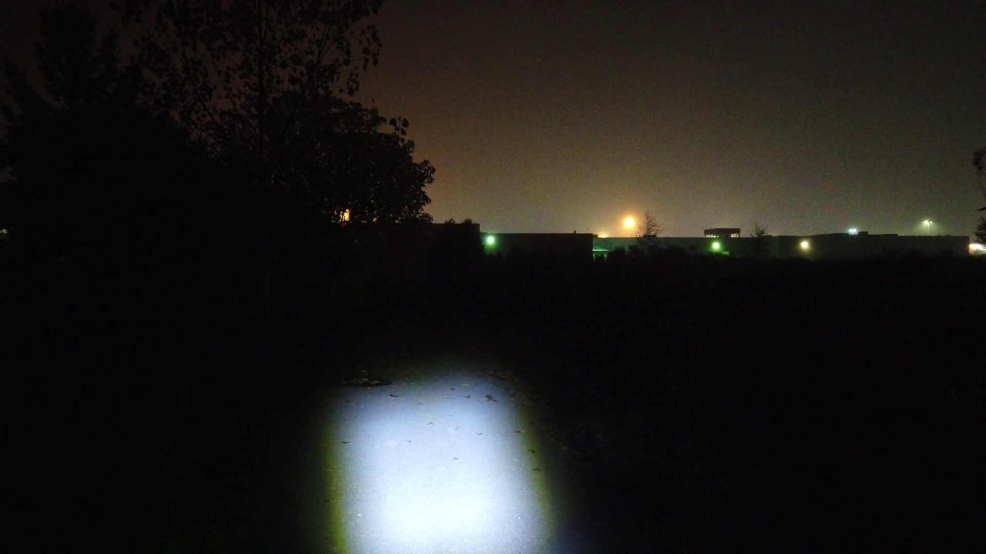 During Hazy Fog Search Rescue Efforts Take Stock Footage SBV-347646612 ...