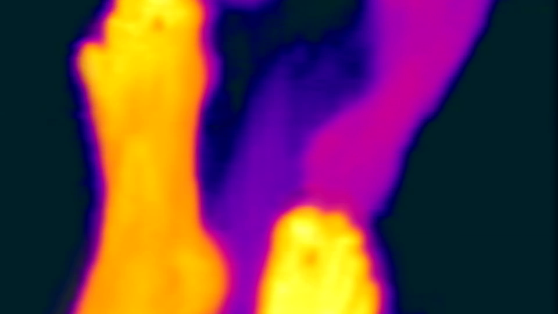 In Thermal Video Imaging Two Feet Are Seen Stock Footage SBV-347648190 ...