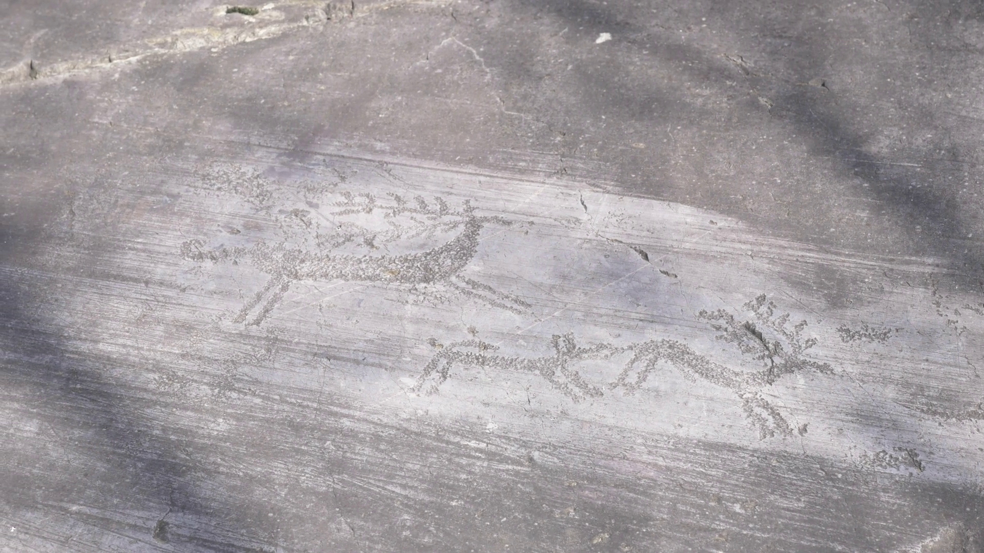 Rock Drawings In Val Carmonica Prehistoric Stock Footage SBV-352158432 ...