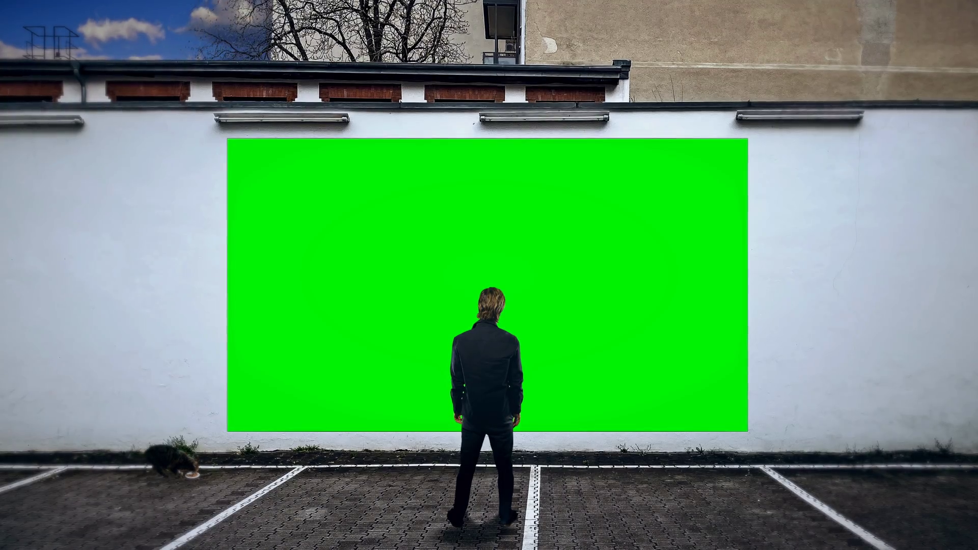 Man Looking Wall Green Screen Street Stock Footage SBV-352428566 ...