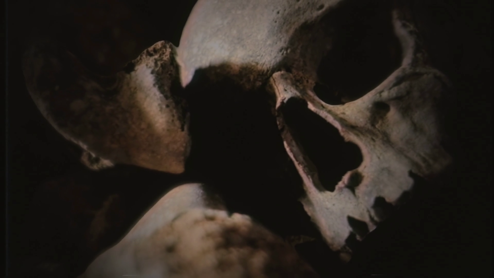 Human Skull Bones Old Vhs Texture Close Up Stock Footage SBV-352682758 ...