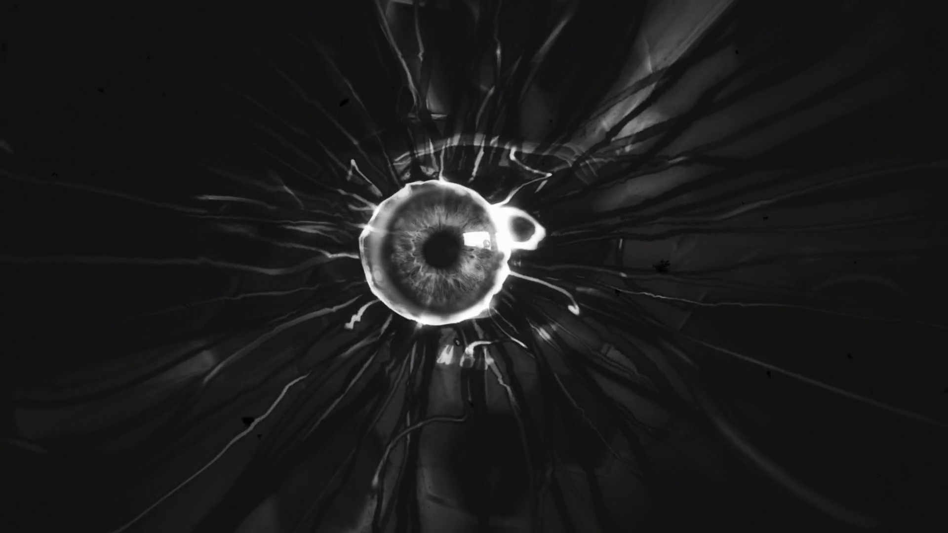 Bizarre Eyeball Creature Stare Vintage Style Stock Footage SBV ...