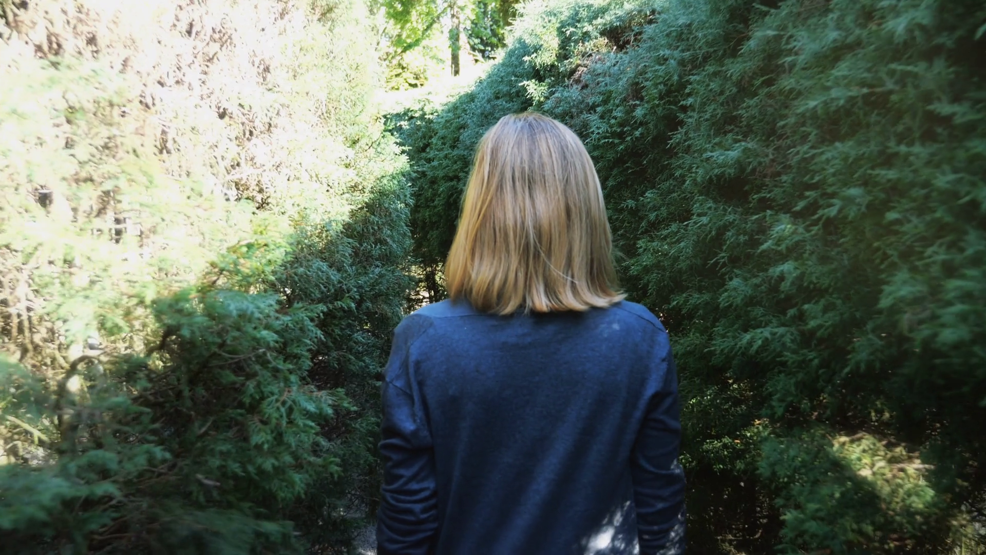 Garden Maze Walk Cinematic Shot Through Stock Footage SBV-352233227 ...